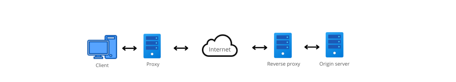 What is a Reverse Proxy Server and How Does it Work? - Robotecture